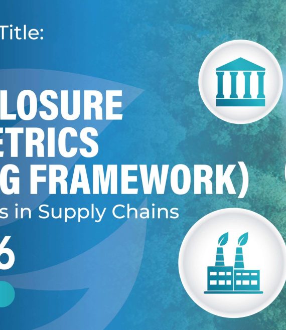 ESG DISCLOSURE & METRICS (SEDG FRAMEWORK) – International Green ...